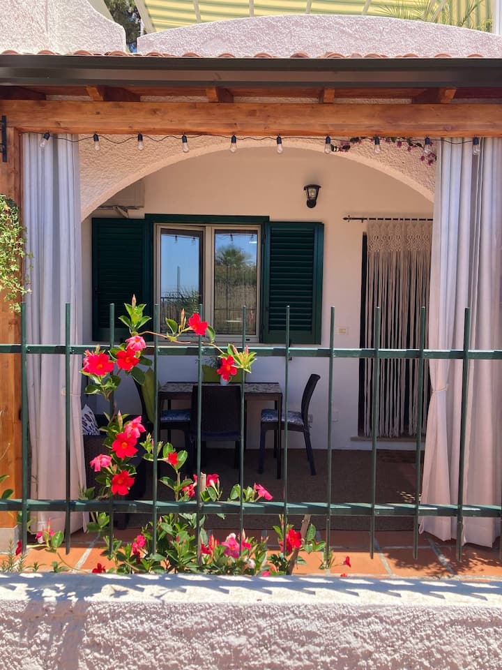 Dancing Lizard Apartments - Scalea