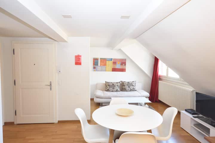 Beautiful Studio In The Old Town (Symbol 2) - Zurich