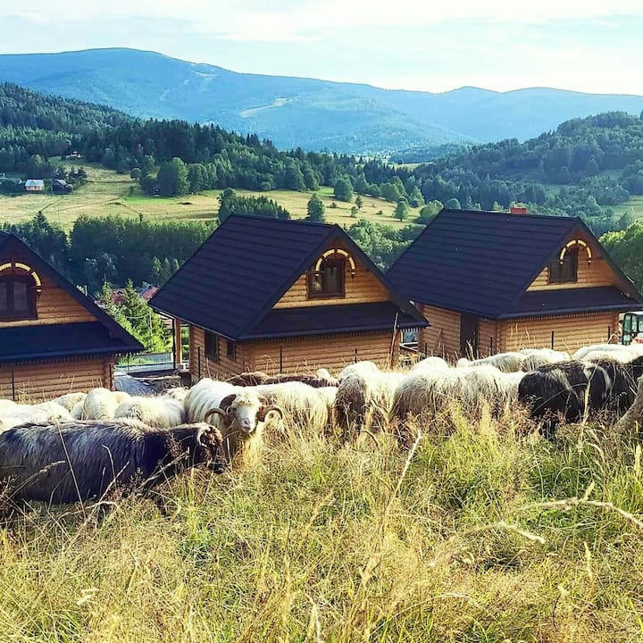 Chaty Pod Pilskiem Dom 2 - Sauna I Jacuzzi W Cenie - Korbielów