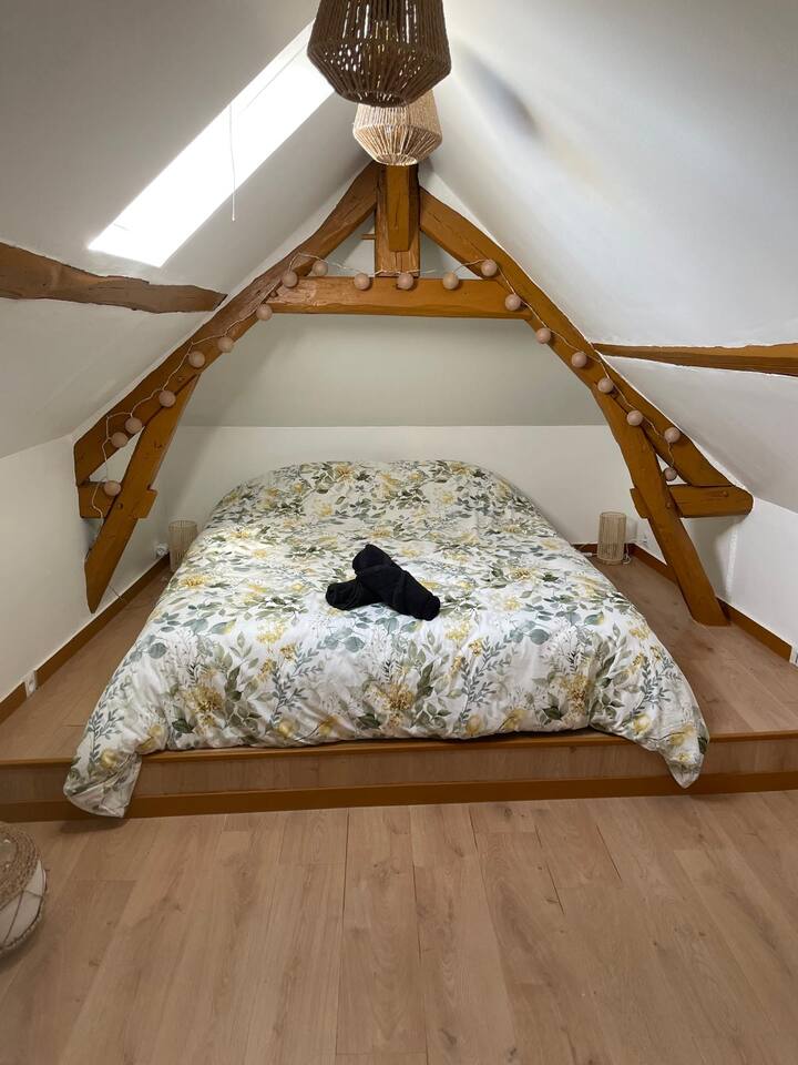 Appartement Duplex Centre-ville - L'Aigle