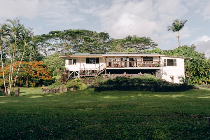 Jungle Nest At Rekindle Farm - Hawái