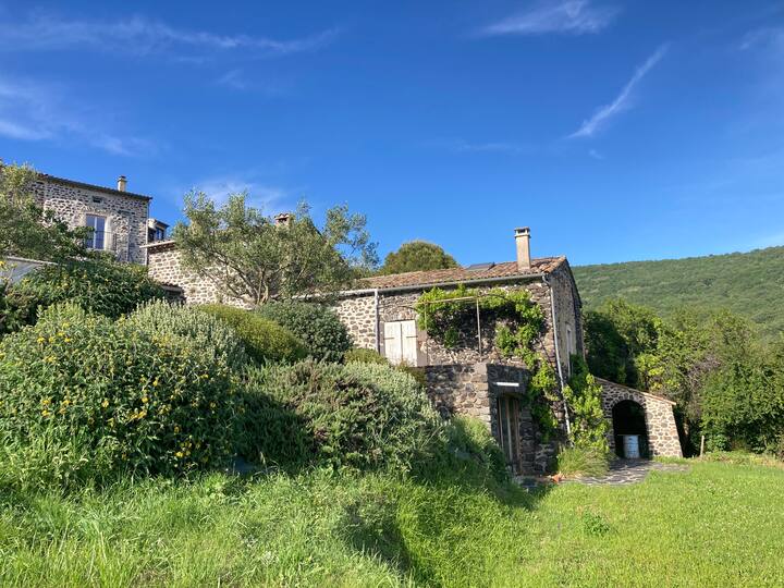 Grange En Pierre Dans Les Champs - Alba-la-Romaine