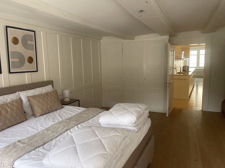 The R Apartment Bodensee - Old Town - Schaffhouse