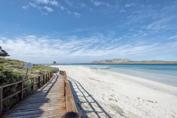 A Pochi Metri La Pelosa 707 E2367 - Stintino