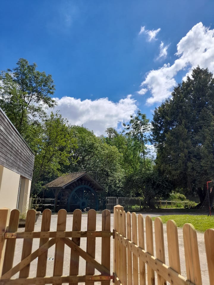Logement Piscine Intérieure Du 7 Avril Au 30 Nov. - Argentan