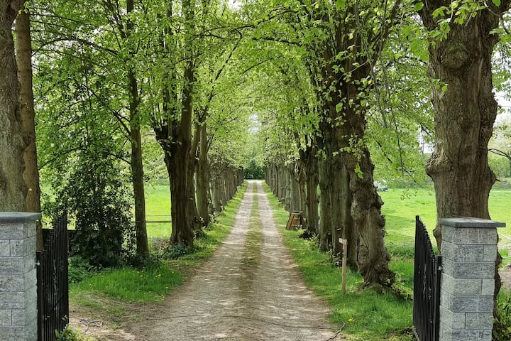 Liebevoll Renovierte Remise In Ostseenähe - Ahrensbök