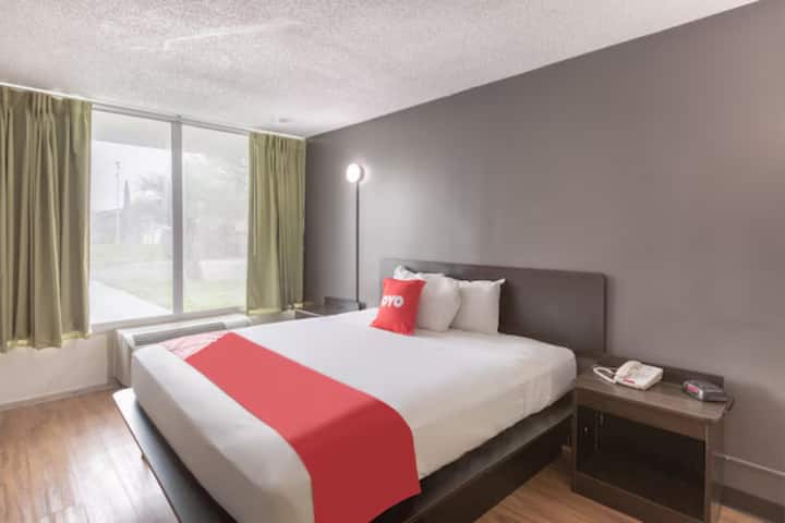 Premium King Bed - Baton Rouge, LA