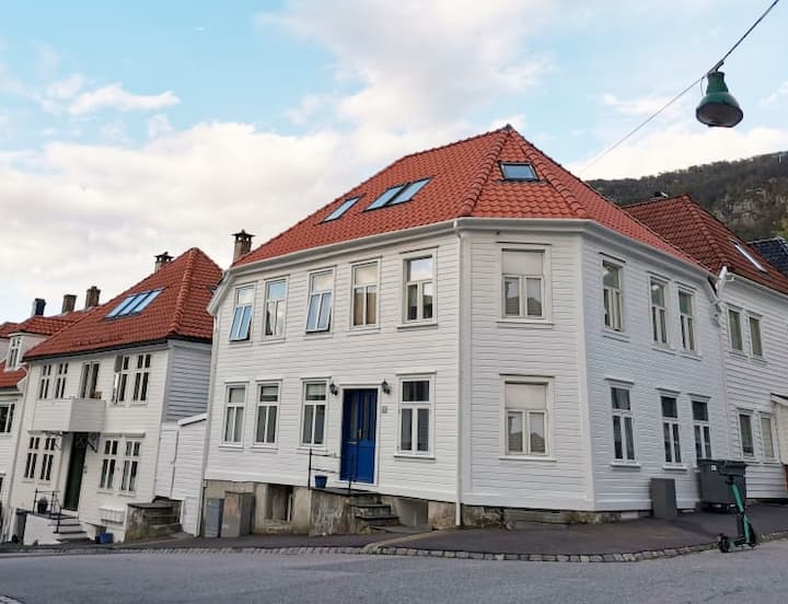 Spacious And Bright Privat Room! - Bergen