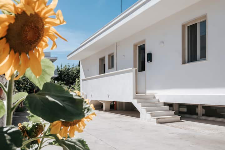 See You Bari - Giovinazzo