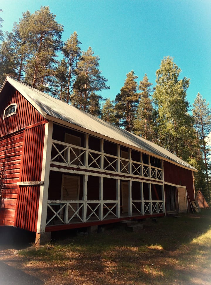 Metsätila Lähellä Pyhä-häkkiä - Saarijärvi