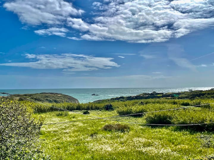 Lapadusso Beach House - Sea Views & Walk To Sand - Peniche