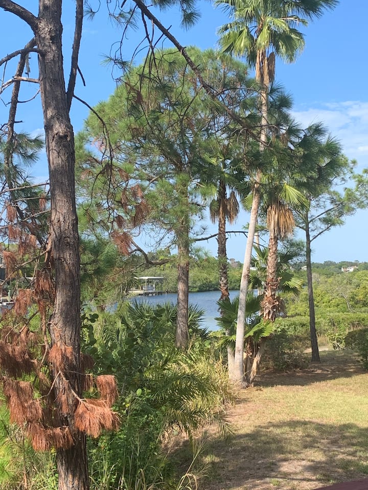 Beautiful Townhouse Awaits You! - Palm Harbor, FL