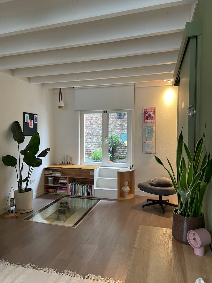 Historisch Huisje Met Terras In Prinsenhof - Gante