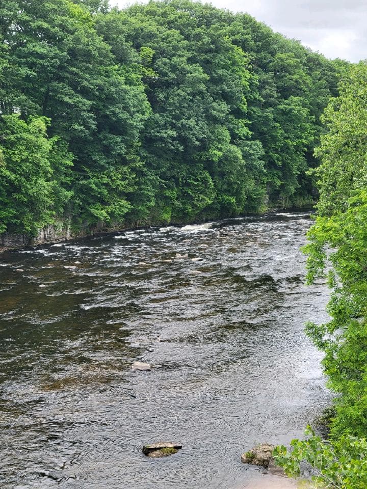 Riverfront@long Bridge-salmon & Steelhead*sleeps 8 - Selkirk Shores State Park, Pulaski