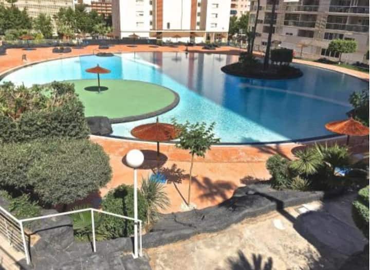 Apartamento En Benidorm - Benidorm