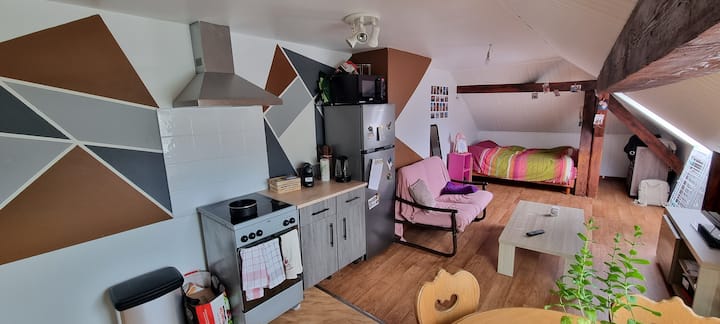 Studio Centre Ville Schirmeck - Schirmeck