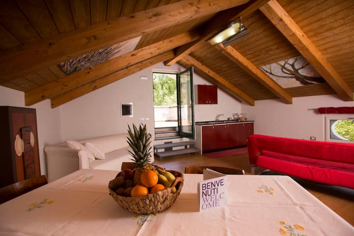Splendida Mansarda In Agricola Villa Lupara - Cetara
