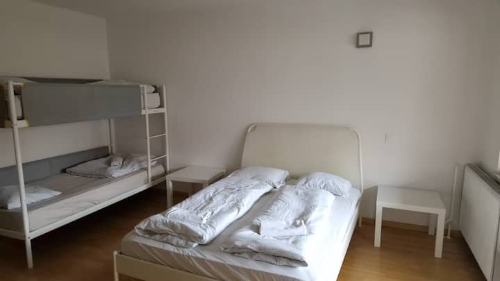 Room For 4 (Balcony&shared Bath) - Ljubljana