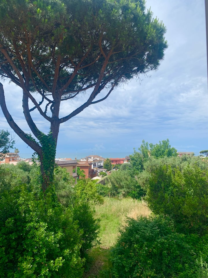 Tempo D'ozio A Marechiaro - Anzio