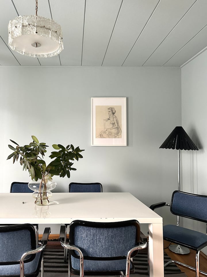 Design 60s Modern House With Large Garden - Mariehamn
