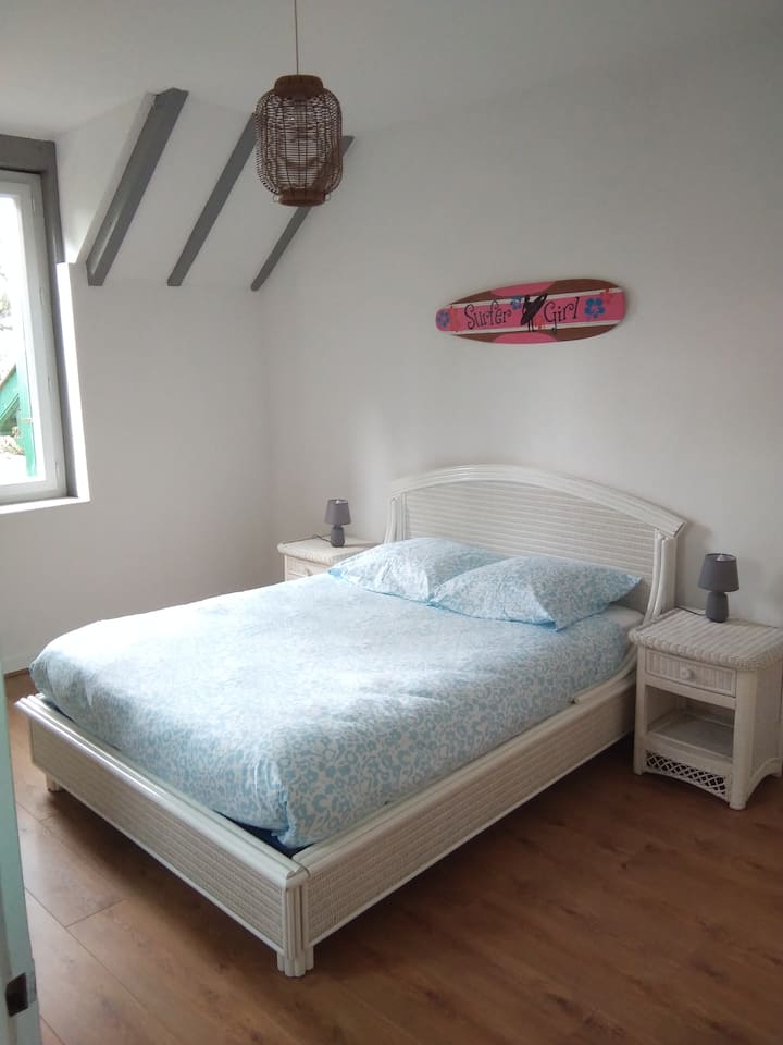Appartement à Louer 43 M2 - Bayonne