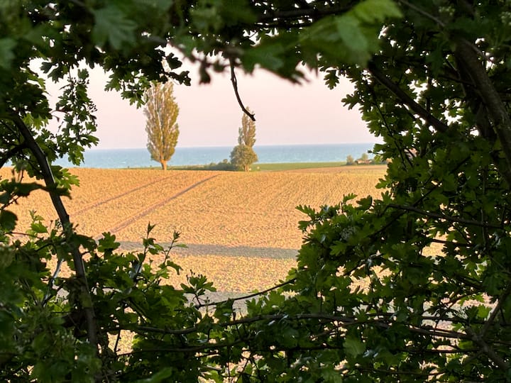 Fredsfyldt Gæstehus Med Havudsigt - Danemark