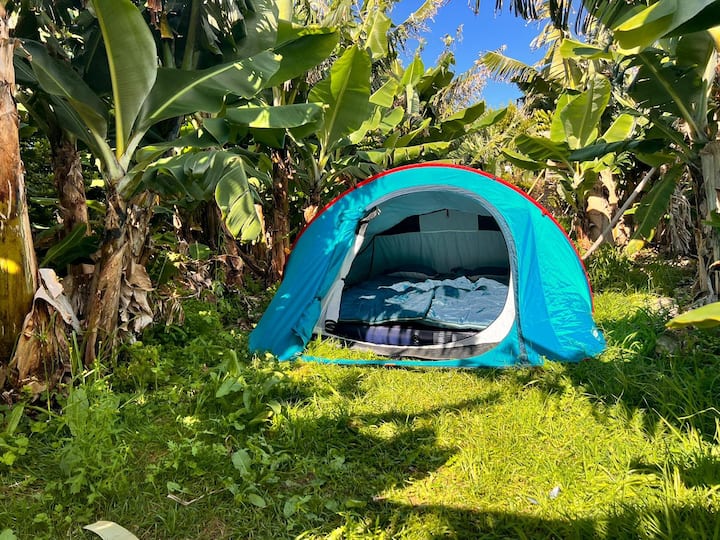Banana Eco Camp- Tent- Comfort - Azores