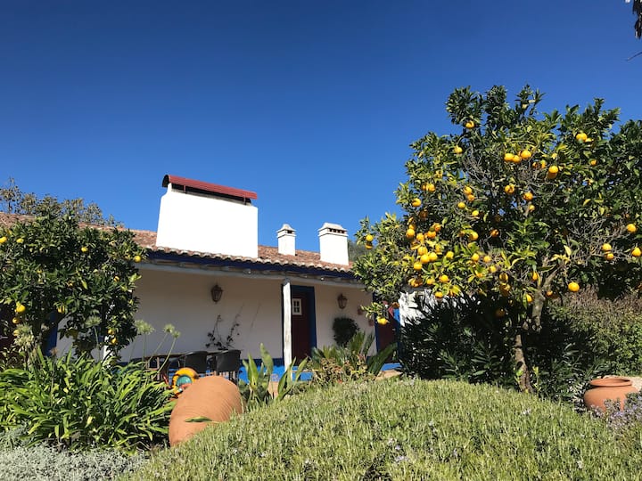 Country House In Estremoz,  Portugal - Estremoz
