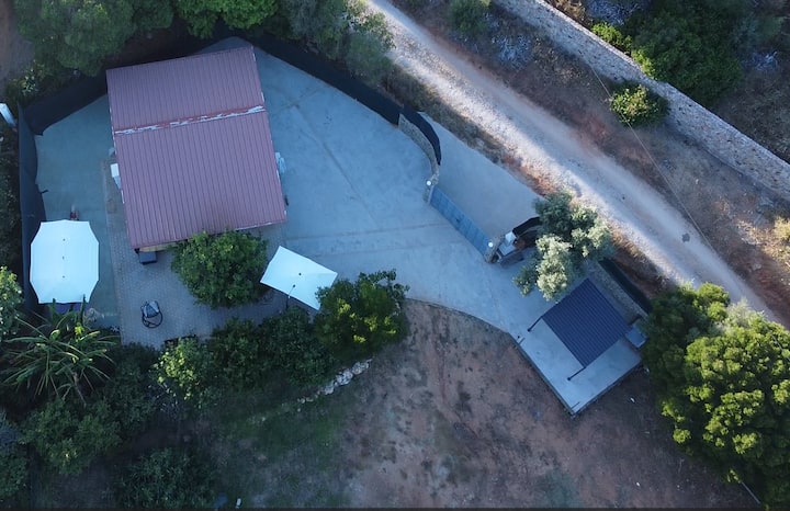 Campo Dias - Carvoeiro