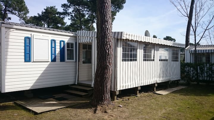 Mobil Home Climatisé Siblu
Camping  La Pignade - Ronce-les-Bains