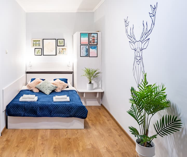 Rainbow Apartment: City Center - Lviv