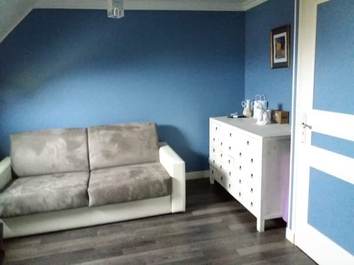 Chambre à Louer Près De Roissy - Plailly