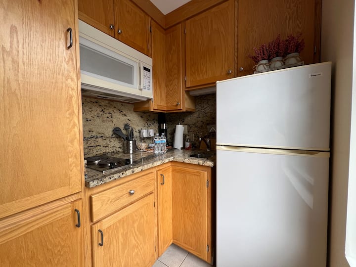 South Loop Studio Hotel(205) - Kenwood - Chicago