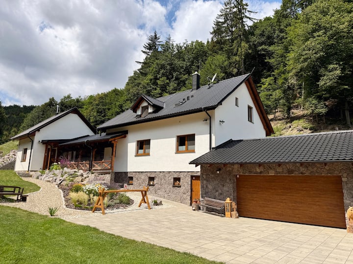 In The City & Yet In The Forest! - Banská Štiavnica