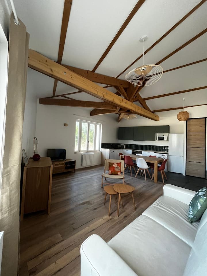 Appartement Centre Refait à Neuf - Saint-Pierre-d'Oléron