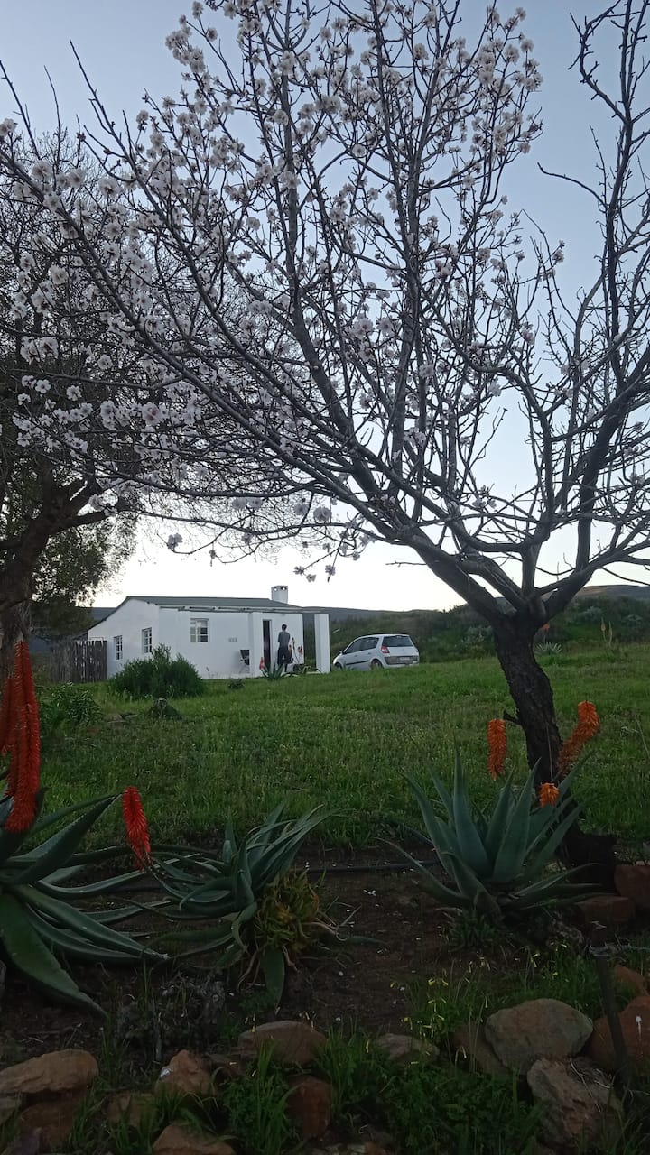 Pear Cottage. A Family Farm Stay - Greyton