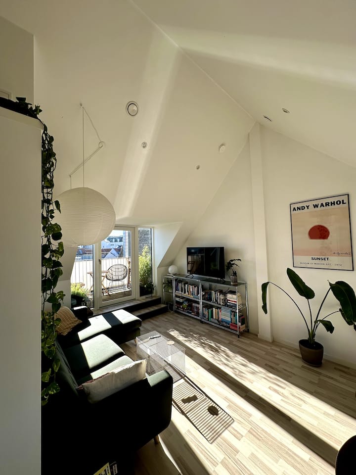 Taglejlighed I Hjertet Af Aarhus - Aarhus