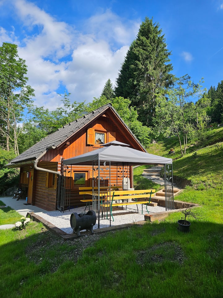 Cottage Ladybug - Gozd Martuljek