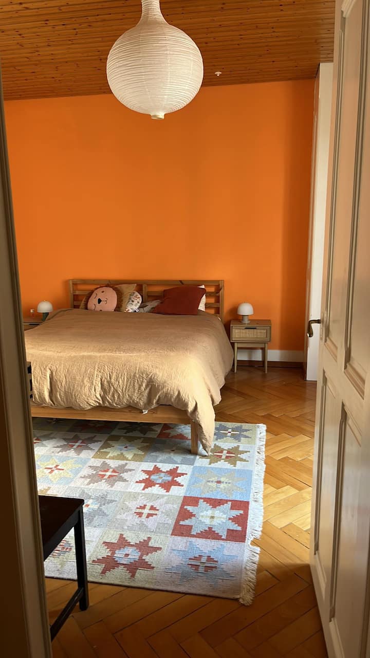 Charmant 90m²,lausanne, Lumineux - Renens