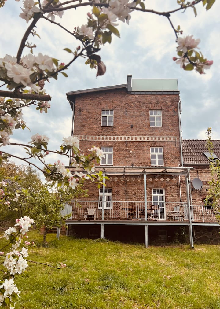 Mühlen-oase - Bad Saarow