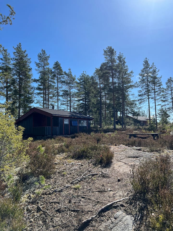 Forest Cabin - Modum