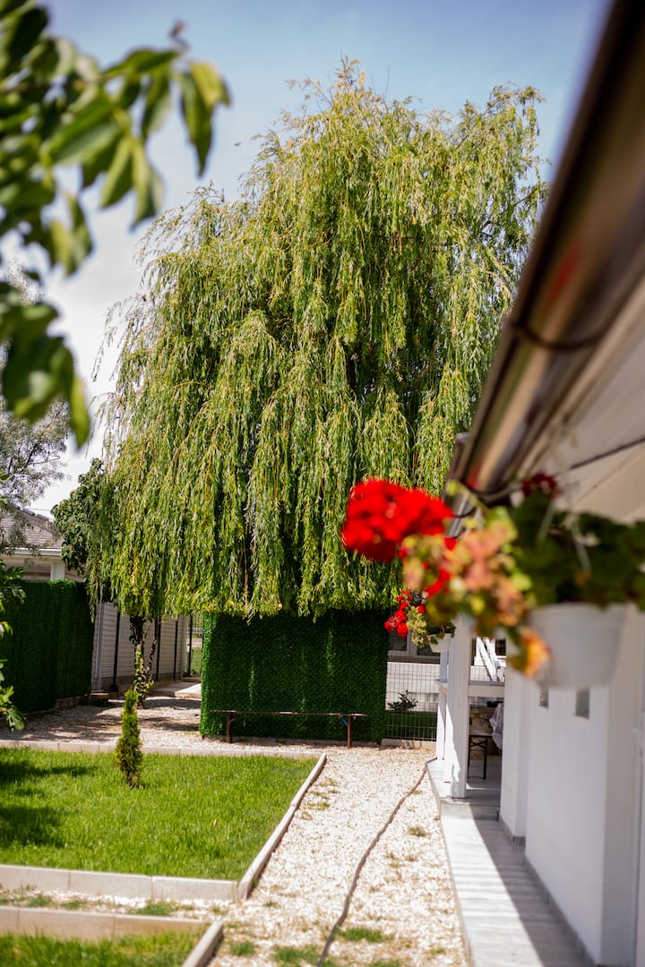 Mafmaf Tiny Home Nr. 2 - Năvodari