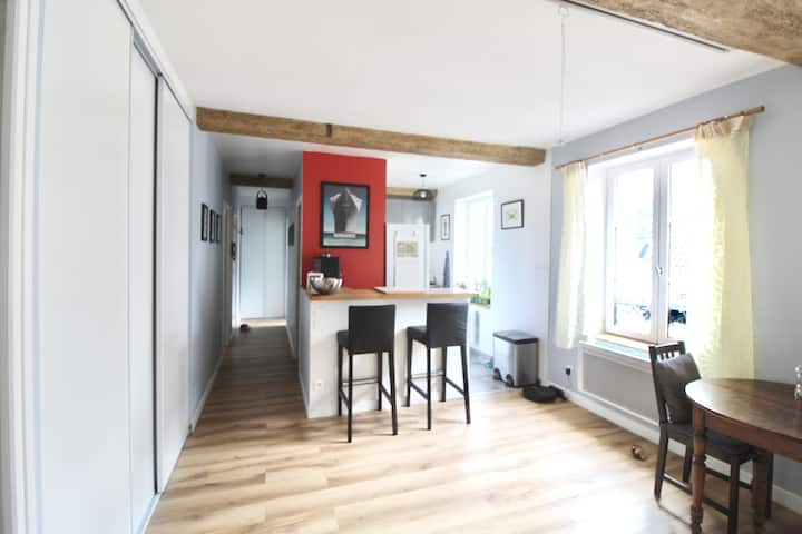 Appart 2 Chambres Vieux Lille - Lille