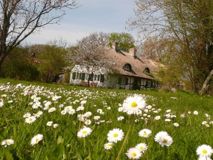 Reethaus Rosengarten 5 Whg. & Jurte - 12-22 Pers - Hiddensee