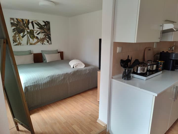 Dvoupokojový Apartmán Placzek - Brno