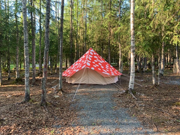 The Gnome Dome - Anchorage, AK