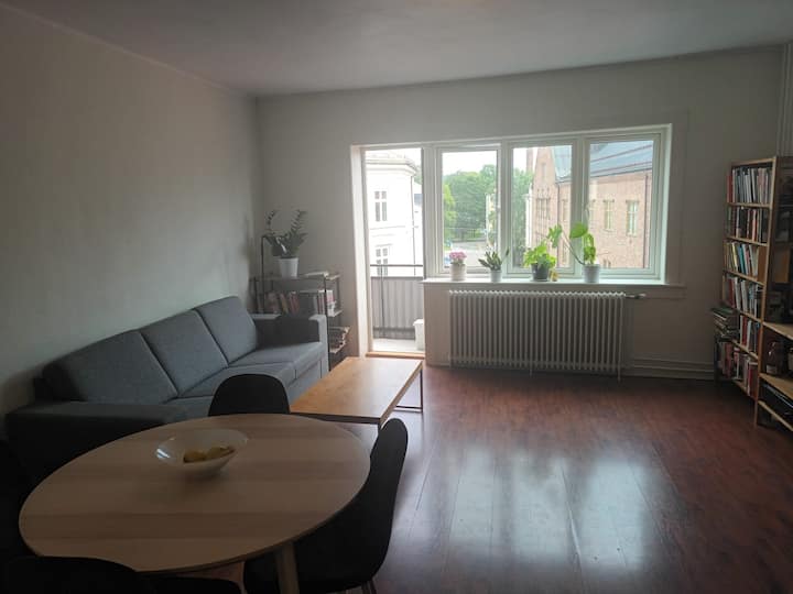 Sentrumsnær Leilighet På Torshov - Oslo