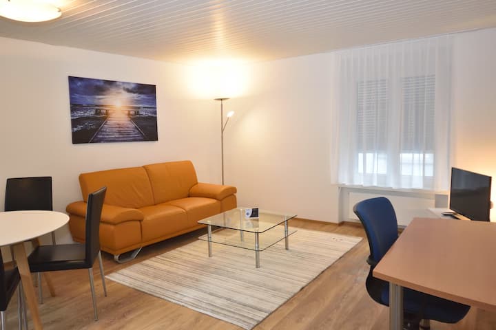 Centrally Located 1br (Color 23) - Zürich