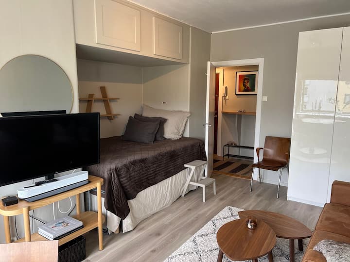 1-roms Toppleilighet På Frogner - Oslo