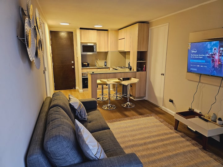 Apartamento En Santiago De Chile - Chile